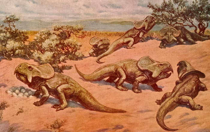 Creatures: Retrosaurs (Agathaumids) - The Known World - Fimfiction